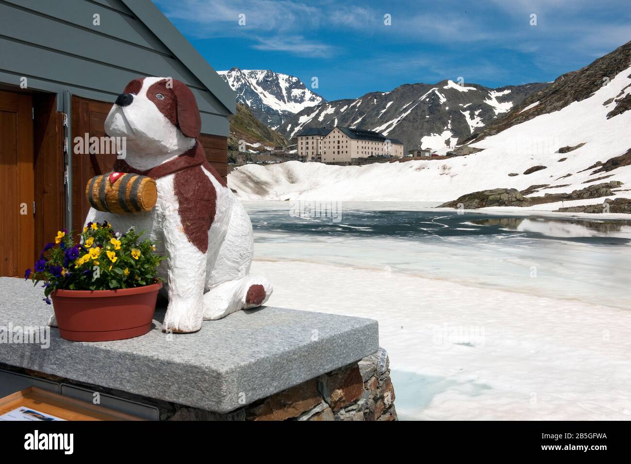 Bernhardiner hund aus holz Banque de photographies et d’images à haute ...
