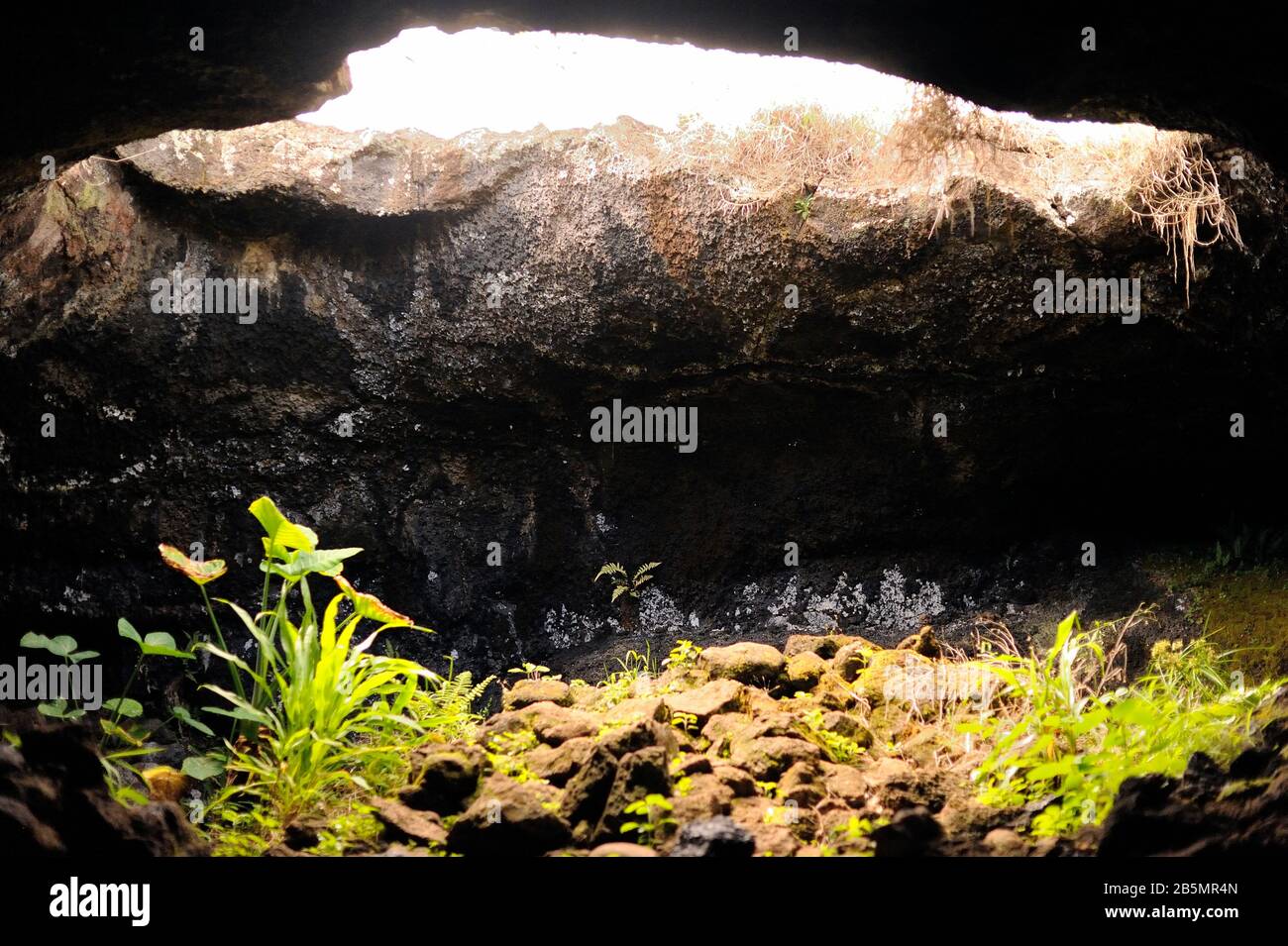 Grotte de pâques Banque de photographies et d’images à haute résolution ...