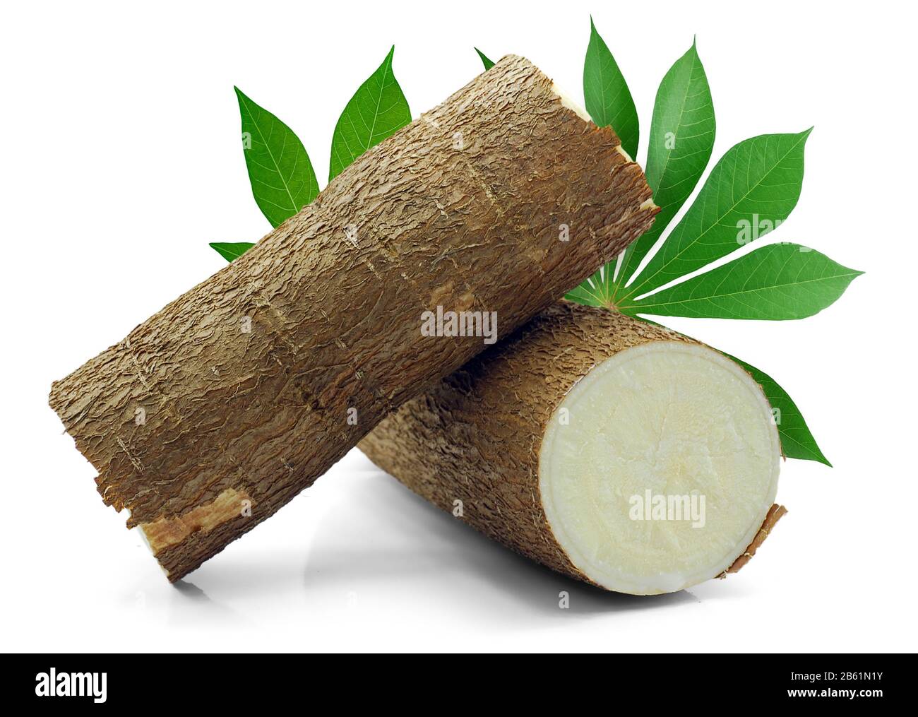 Racine de manioc Banque de photographies et d’images à haute résolution ...