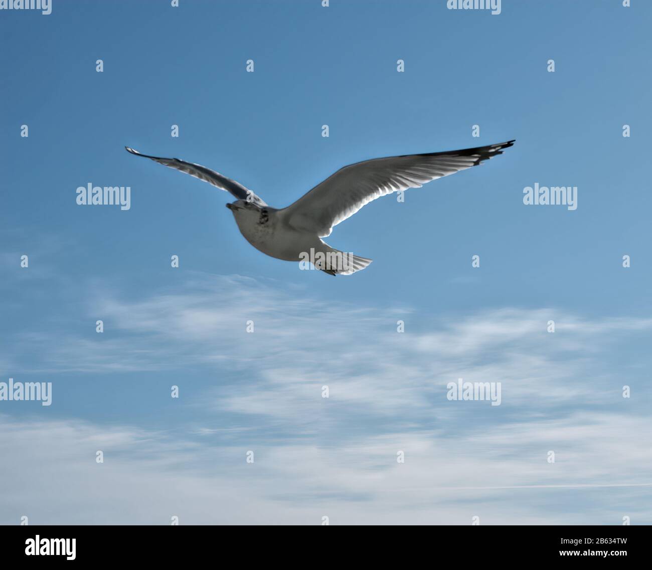 Haut dans les nuages Banque de photographies et d’images à haute ...