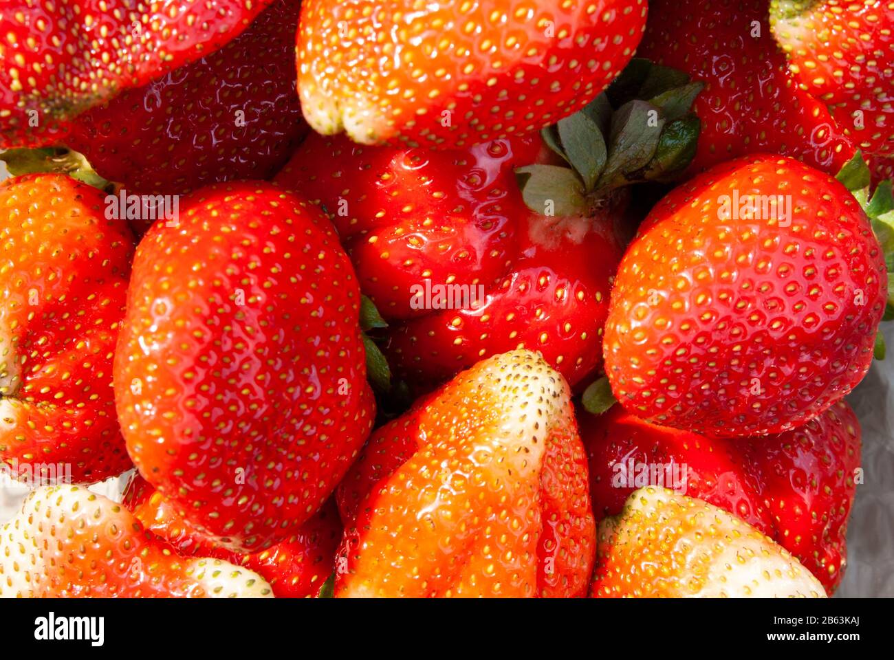 Fraise naturelle Banque de photographies et d’images à haute résolution ...