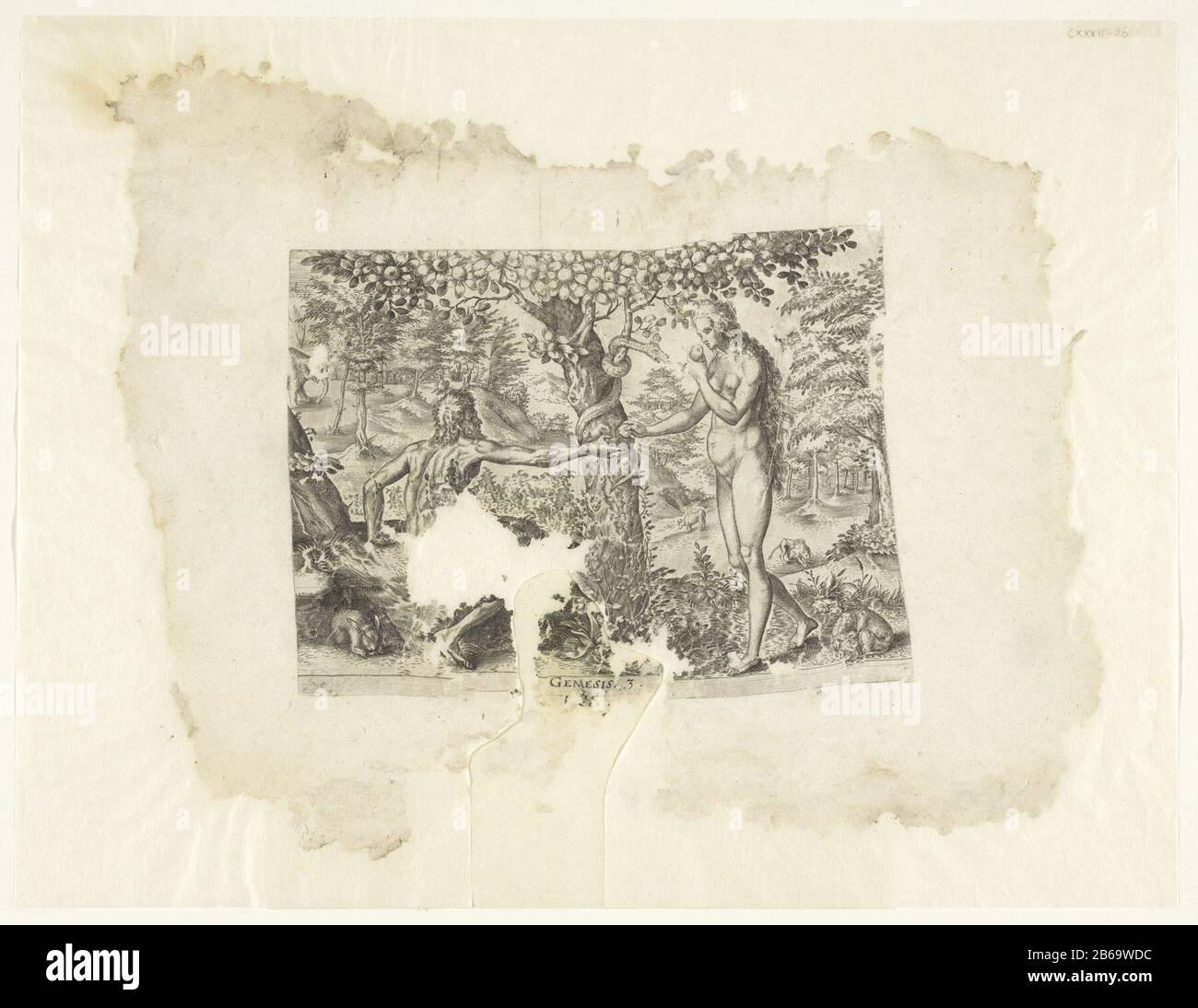 The tree of knowledge adam and eve Banque de photographies et d’images ...