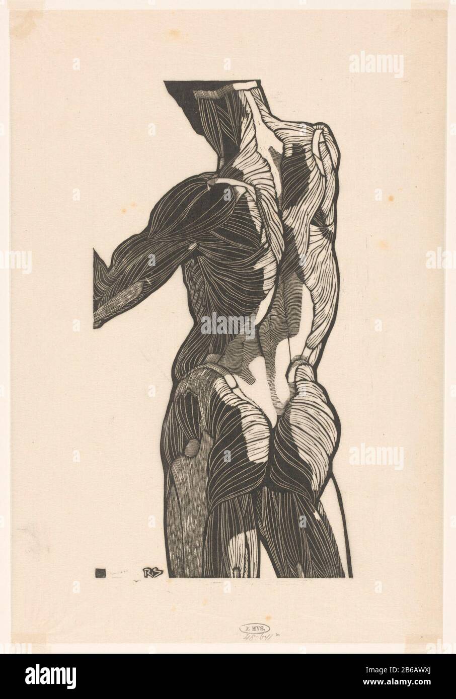 Anatomie des fesses humaines homme Banque de photographies et d’images ...