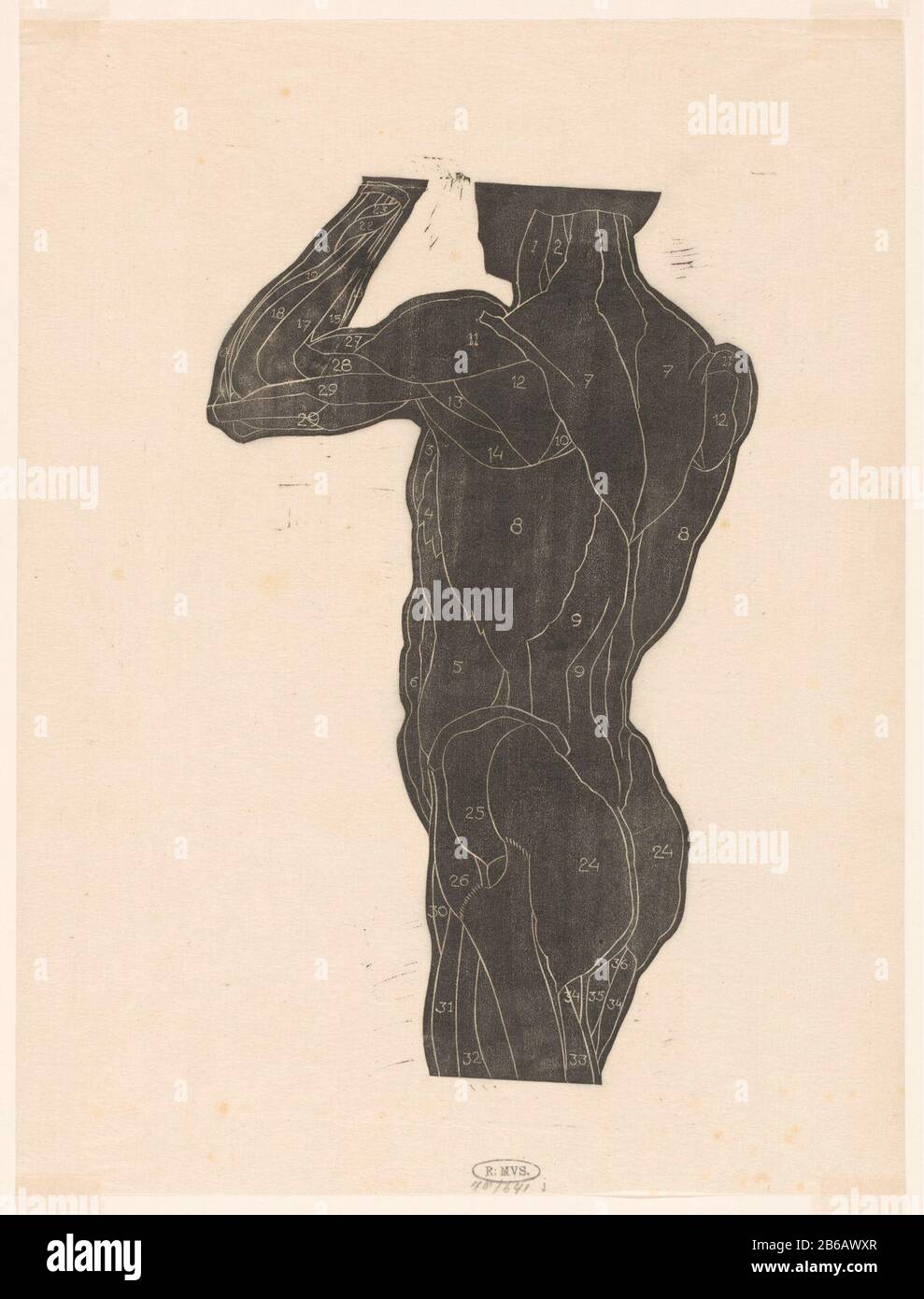 Anatomie des fesses humaines homme Banque de photographies et d’images ...