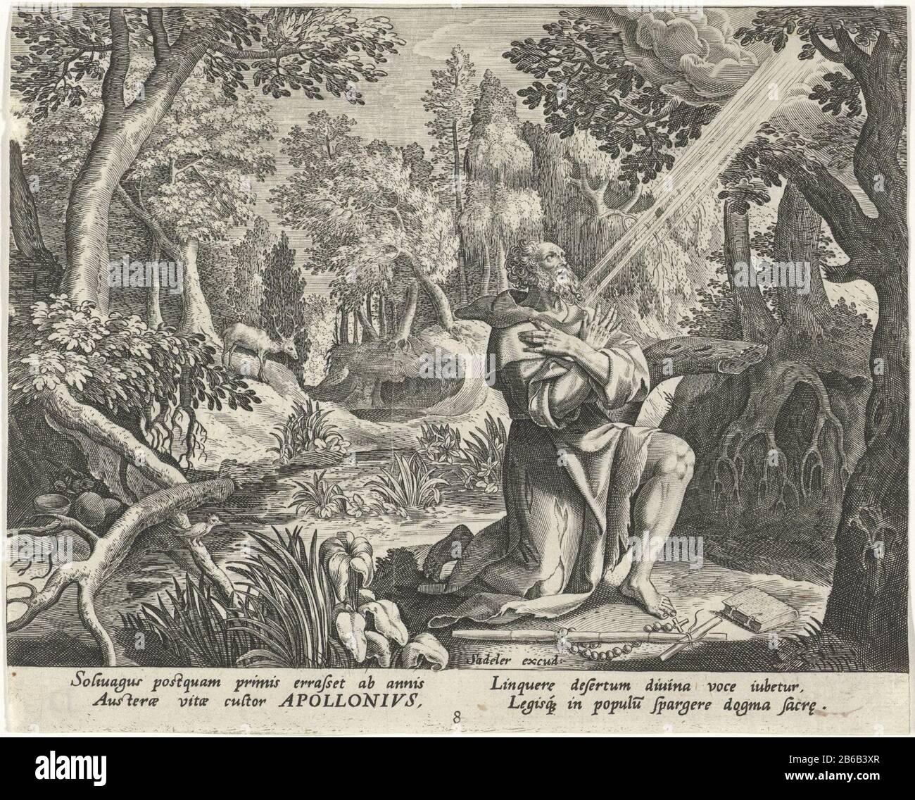 Ermite ermites masculins Banque de photographies et d’images à haute ...