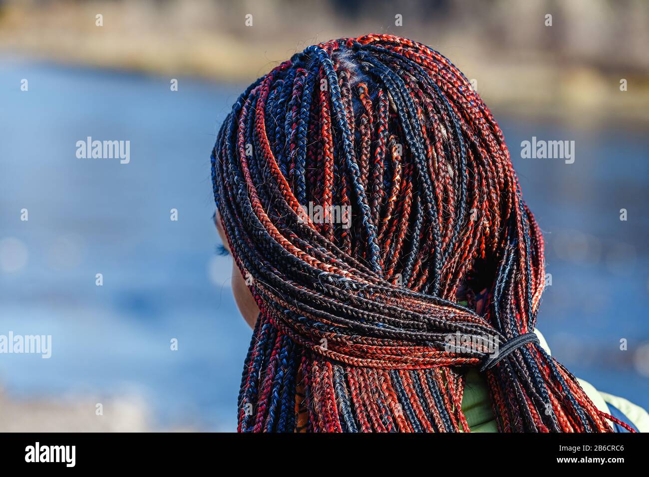 Tresse rasta Banque de photographies et d’images à haute résolution - Alamy