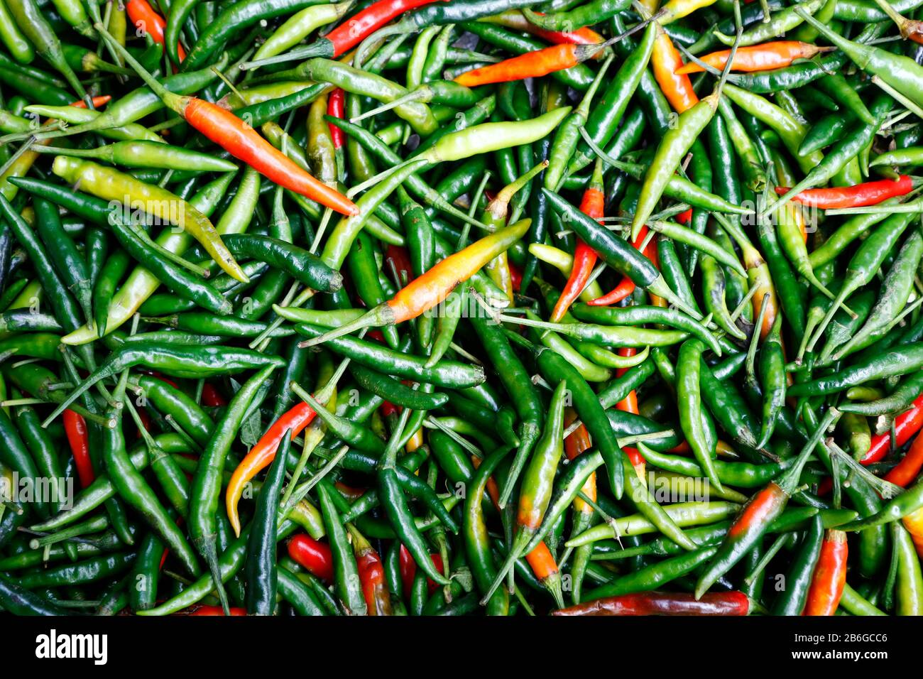 Piments forts sri lanka Banque de photographies et d’images à haute ...