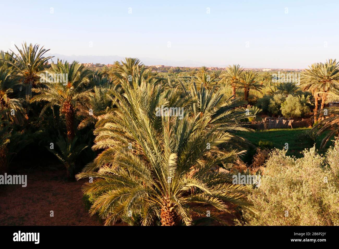 Oasis au maroc Banque de photographies et d’images à haute résolution ...