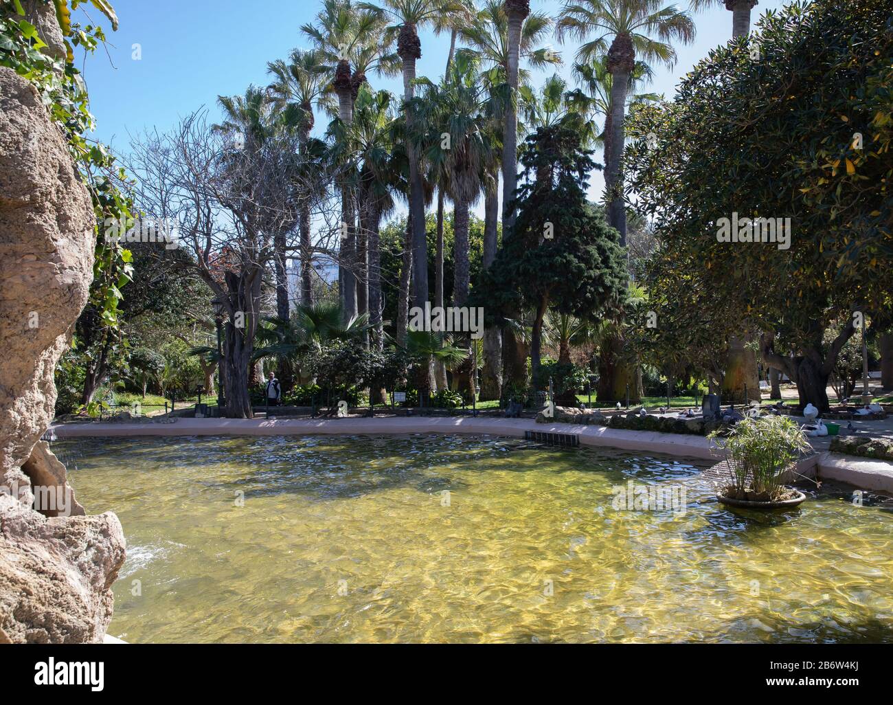 Jardins botaniques cadix Banque de photographies et d’images à haute ...