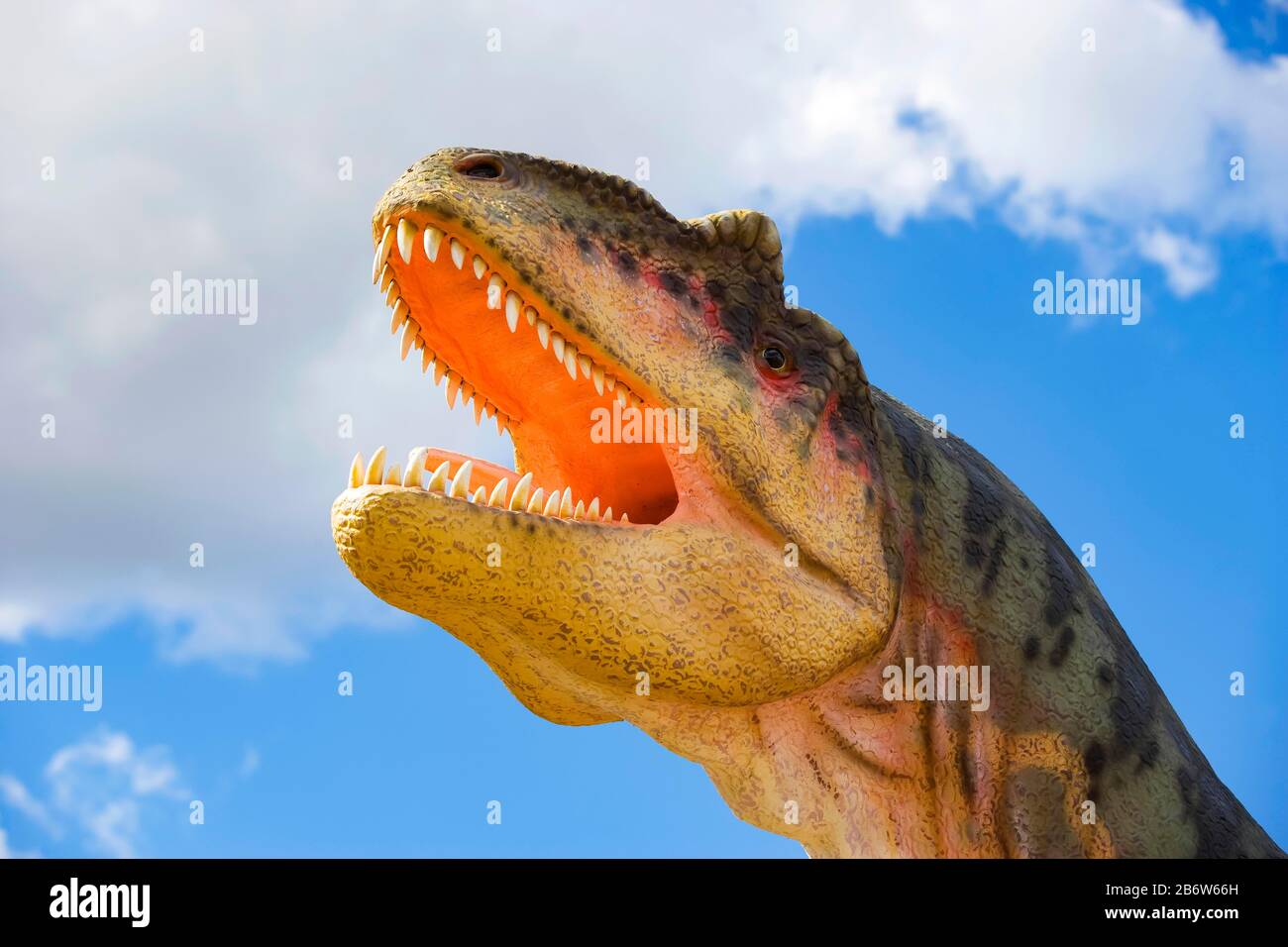 Dinosaure rex Banque de photographies et d’images à haute résolution - Alamy