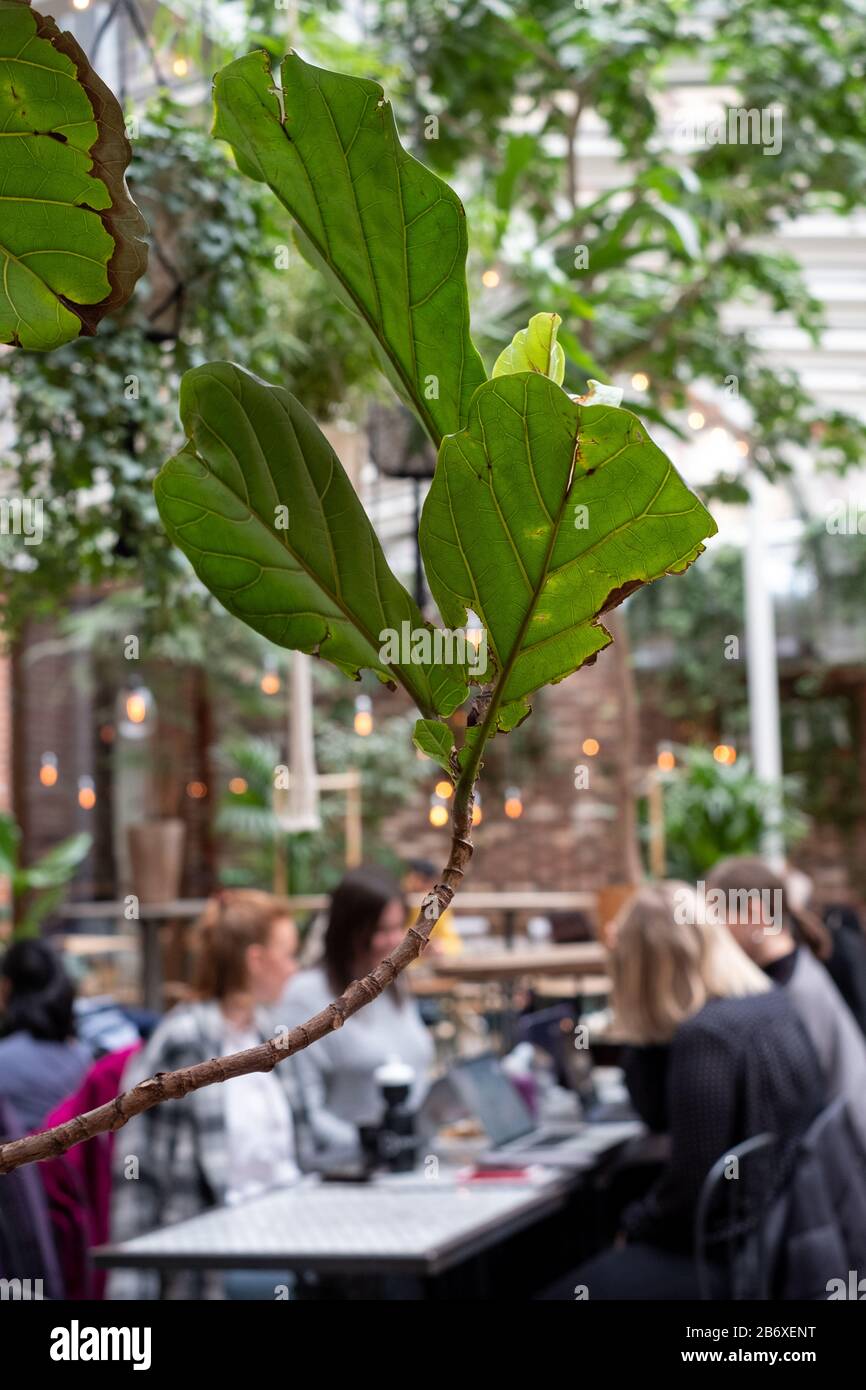 Kafe magasinet Banque de photographies et d’images à haute résolution ...