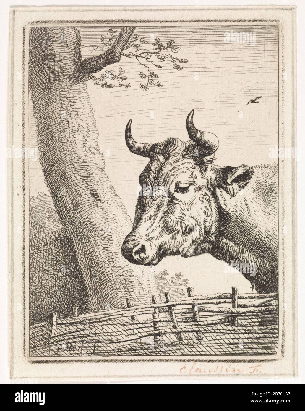 Kop van een koe Cow avec un hek tressé. Fabricant : printmaker: Ignace ...