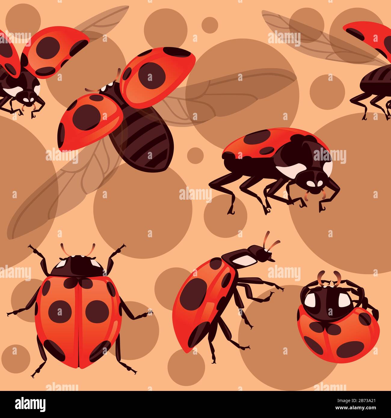 Insecte brun volant Banque d'images vectorielles - Alamy