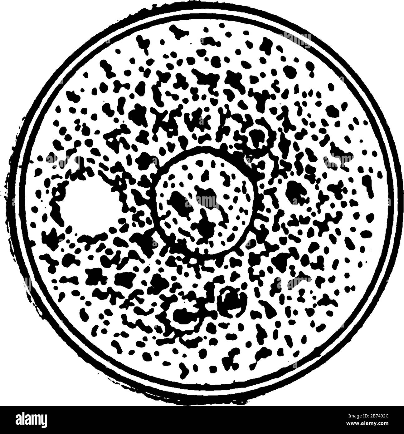 Symétrie sphérique Banque d'images vectorielles - Alamy