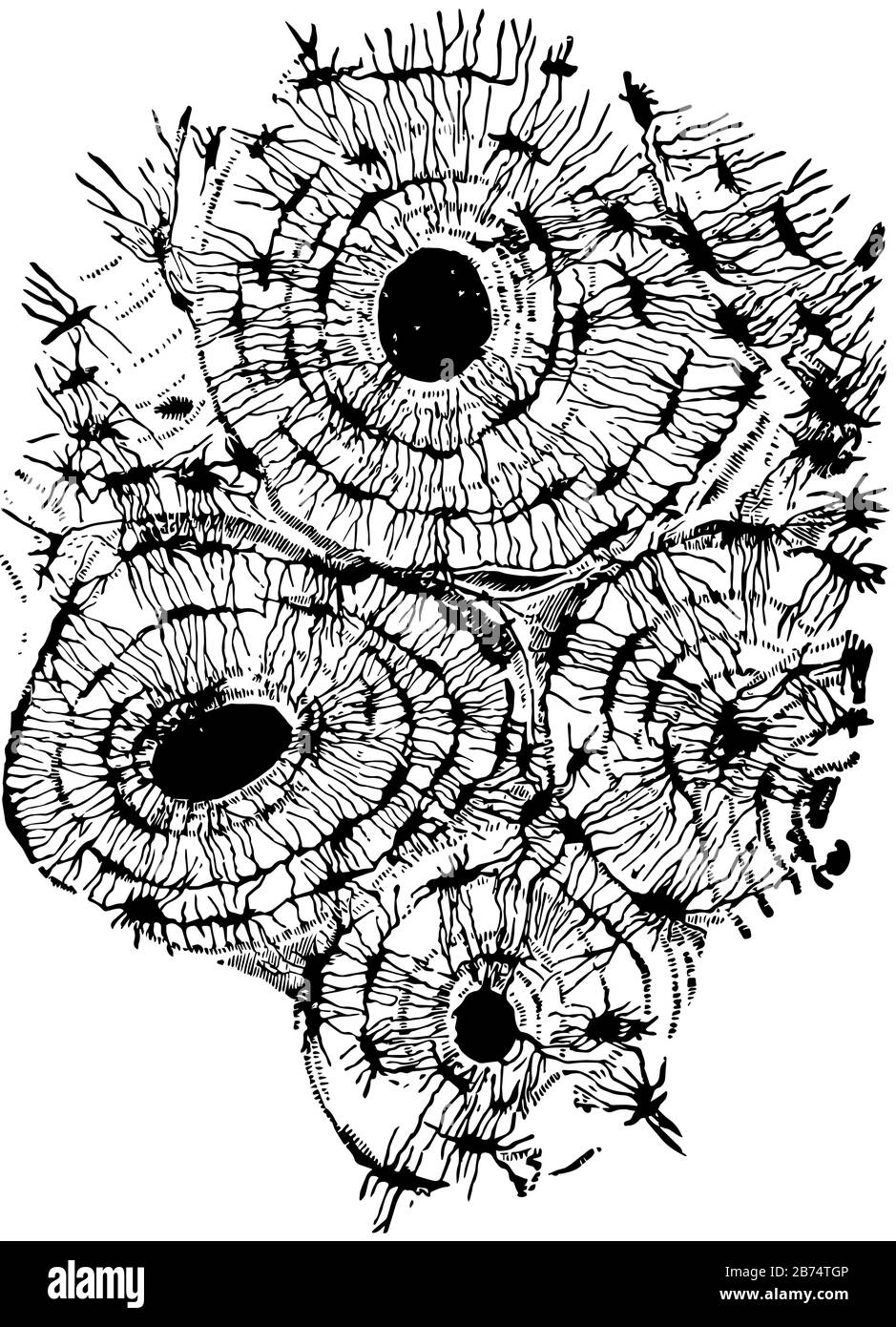 Os compact Banque d'images vectorielles - Alamy