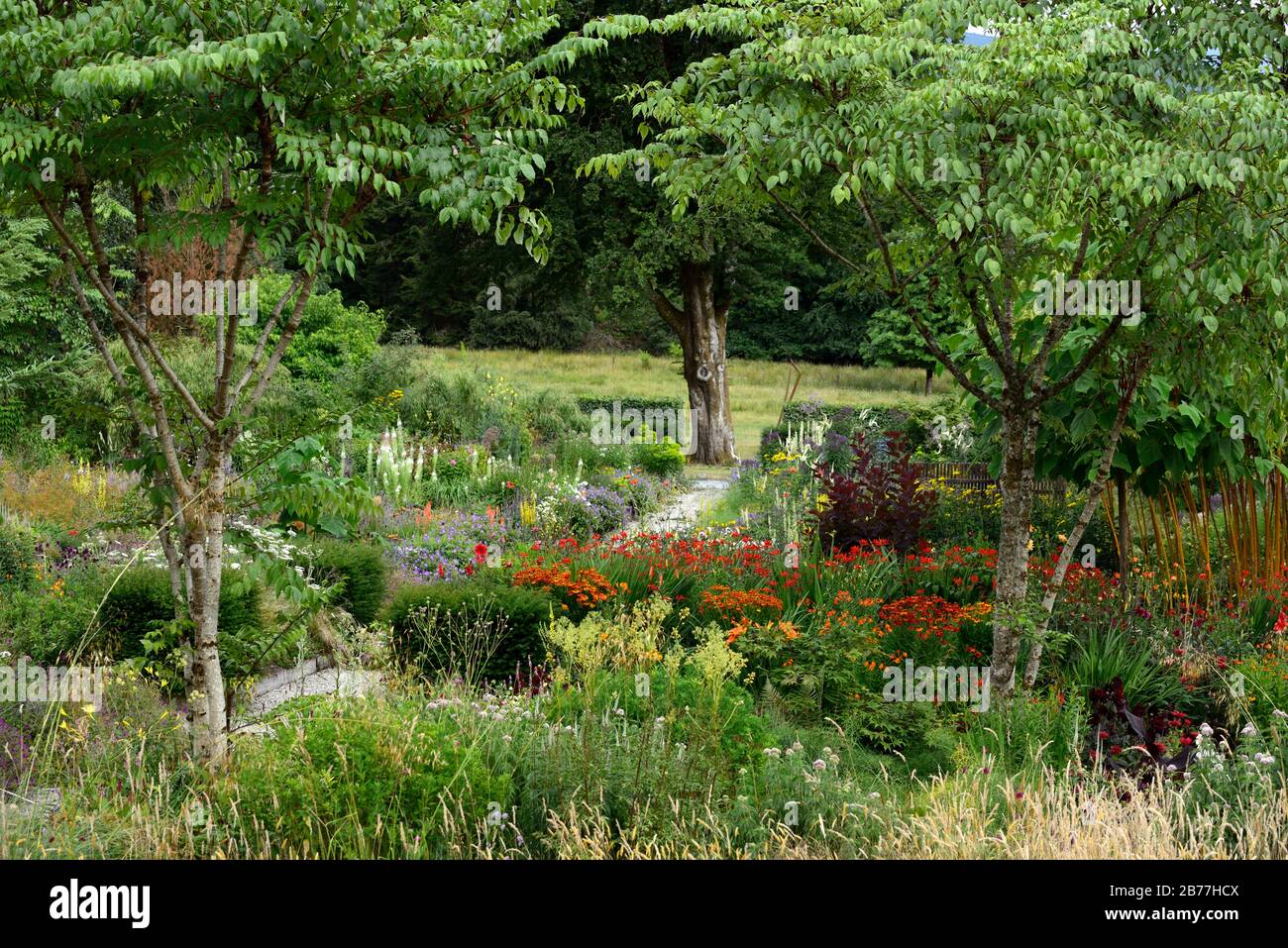 Schéma de plantation mixte,mixte,RM Floral,mix,border,border,beds ...