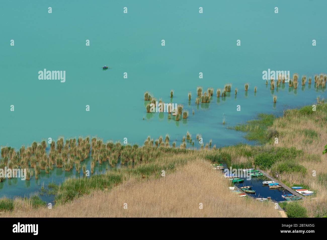 Au dessus des roseaux Banque de photographies et d’images à haute ...