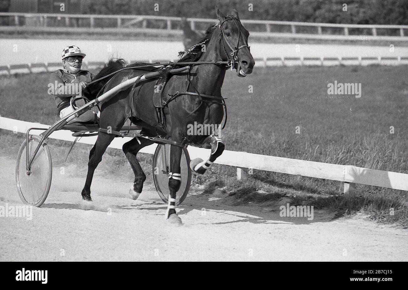 Cheval sulky Banque de photographies et d’images à haute résolution - Alamy