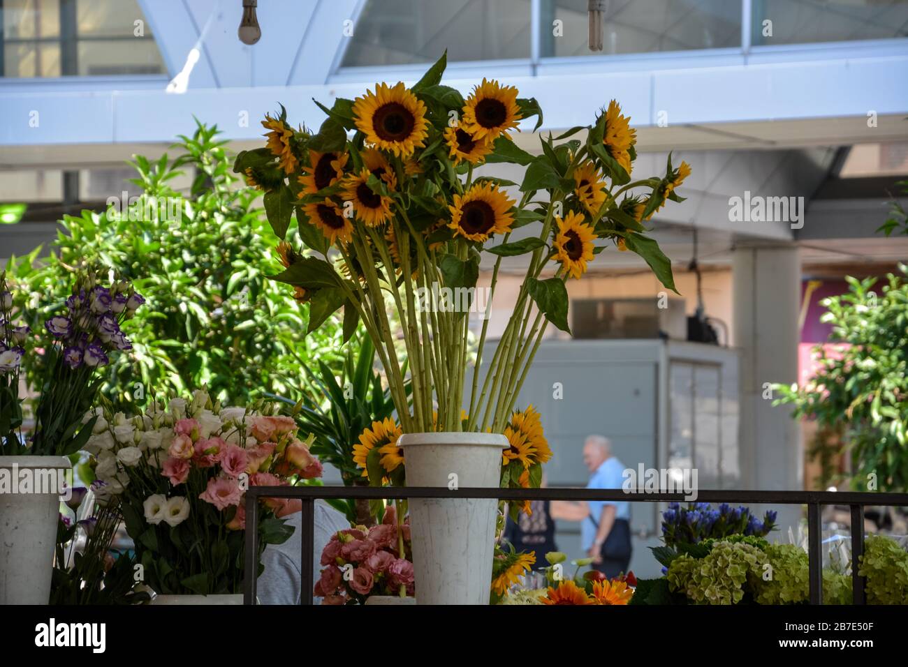 Toutes sortes de fleurs Banque de photographies et d’images à haute ...