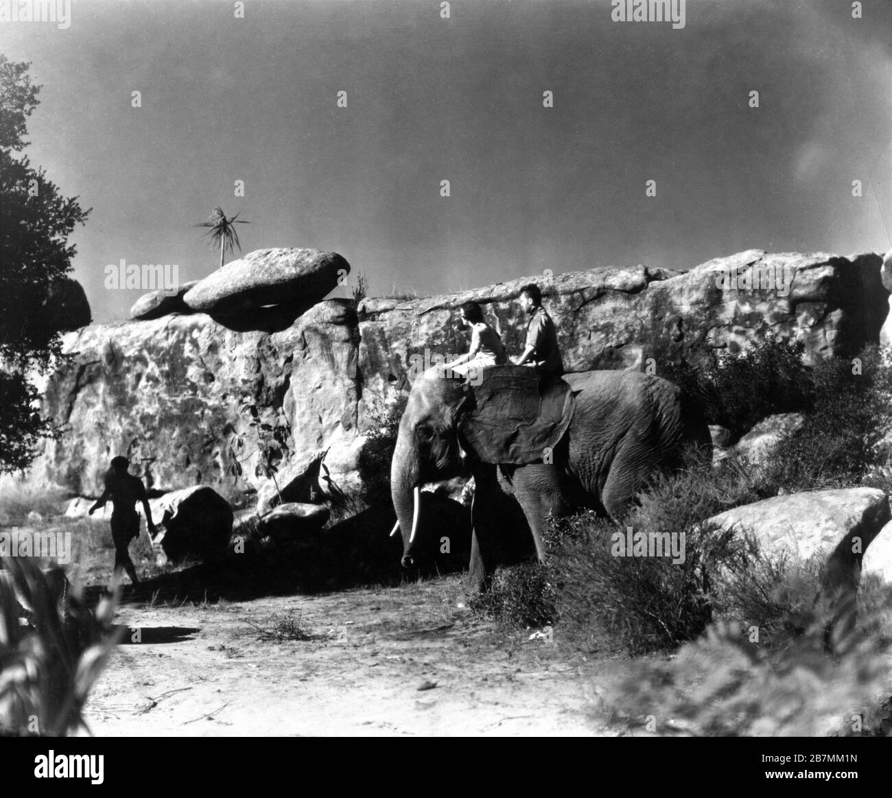 JOHNNY WEISSMULLER comme Tarzan MAUREEN O'SULLIVAN comme Jane Parker et ...