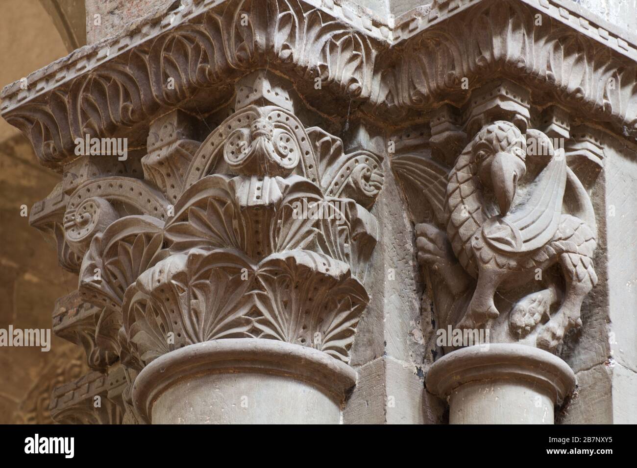 Bestiaire medieval Banque de photographies et d’images à haute ...