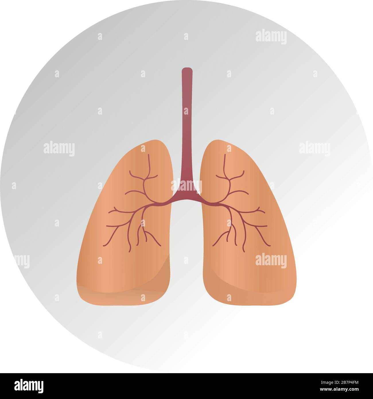Diagramme du cancer du poumon en détail illustration. Poumon Anatomy ...