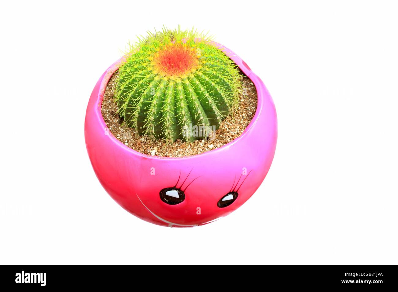 Sorte de vert Banque de photographies et d’images à haute résolution ...