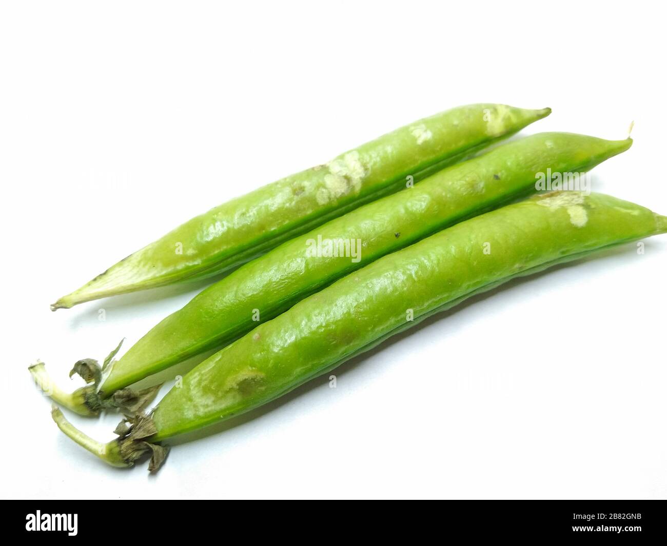 Gousse de graines de pois sucré Banque de photographies et d’images à ...