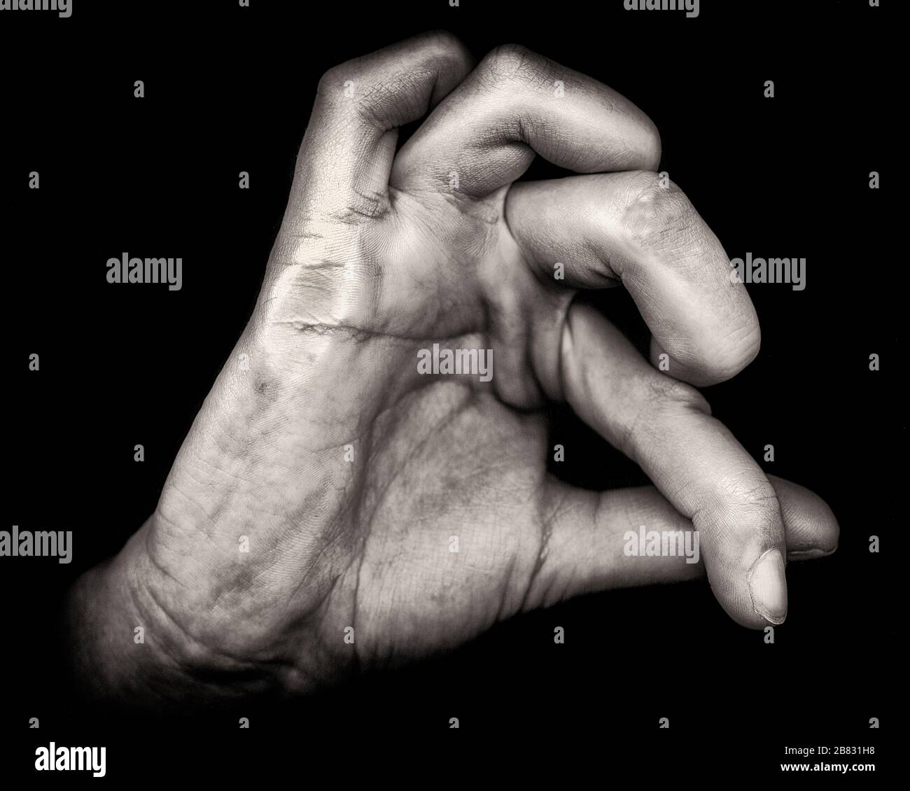 Human fingers anatomy Banque de photographies et d’images à haute ...