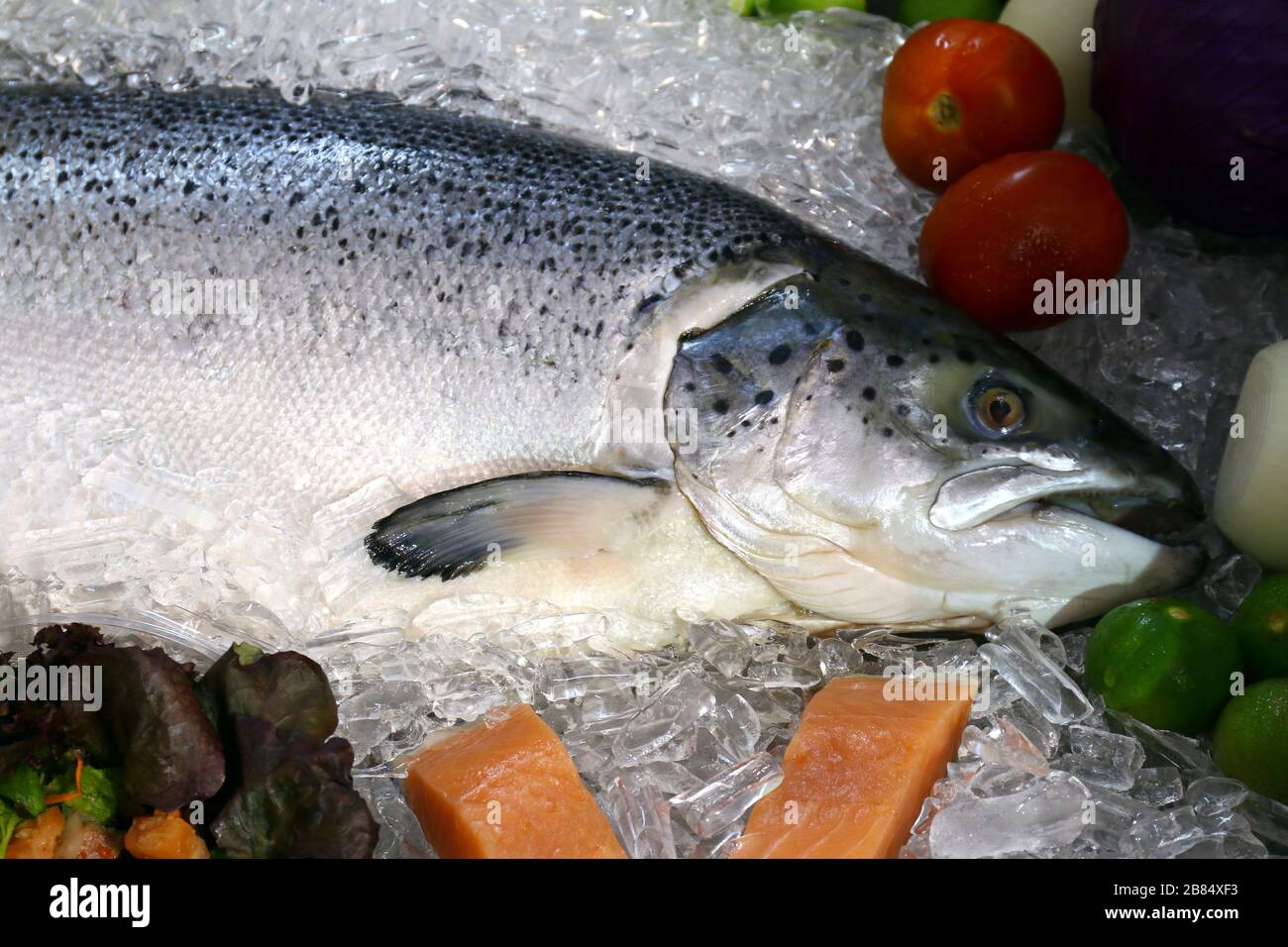 Daurade rouge saumon entier Banque de photographies et d’images à haute ...