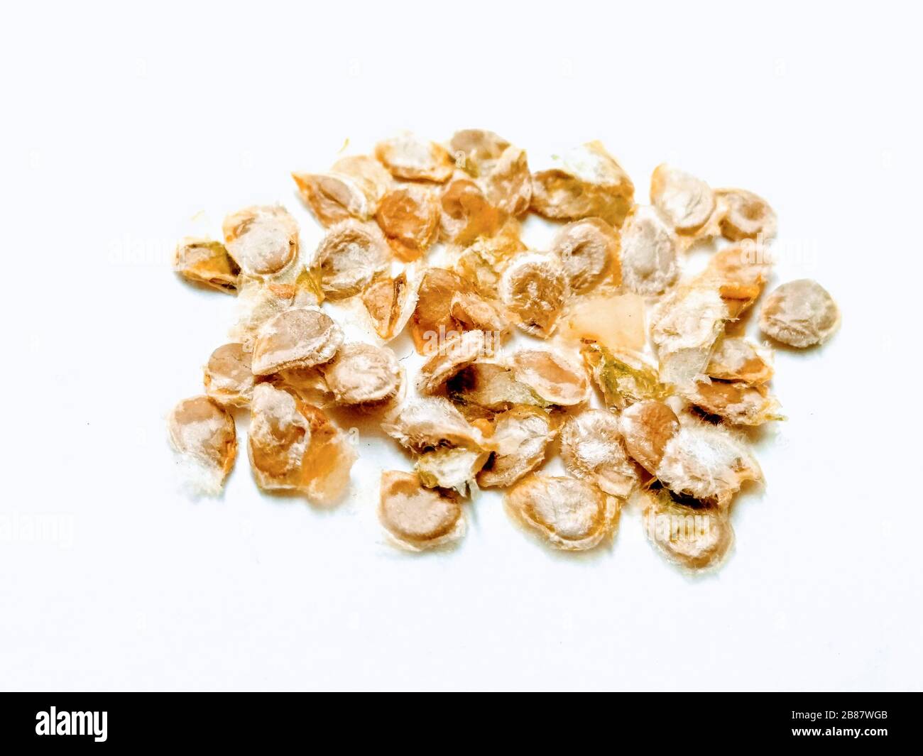 Graines de tomates bio Banque d'images détourées - Alamy