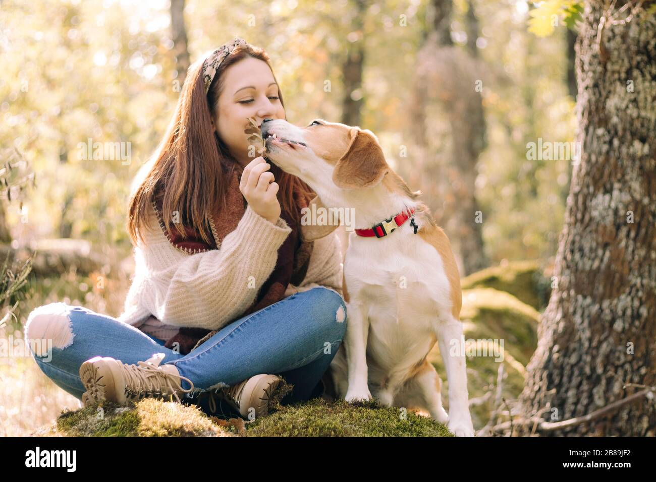 Marcher Avec Le Chien Banque d'image et photos - Alamy