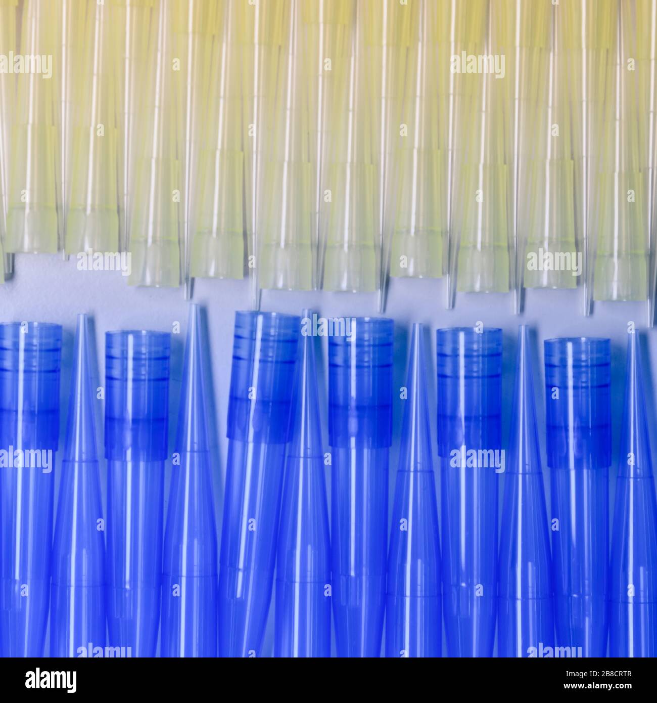 Micropipette laboratory for dna analysis Banque de photographies et d ...