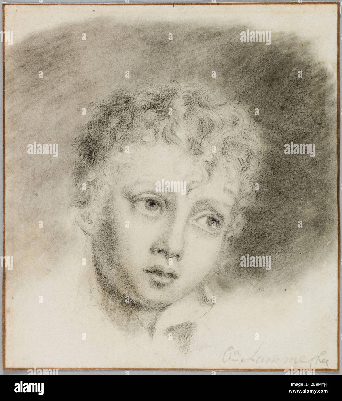 Cornelia scheffer lamme Banque de photographies et d’images à haute ...