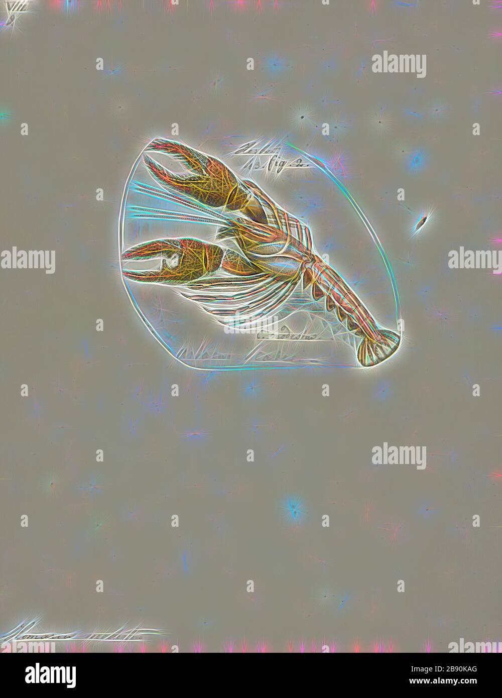 Homarinus capensis Banque de photographies et d’images à haute ...