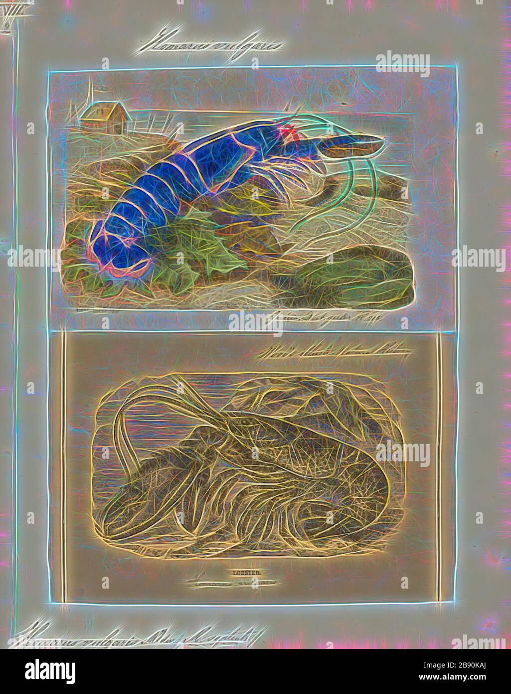 Mating h Banque de photographies et d’images à haute résolution - Alamy