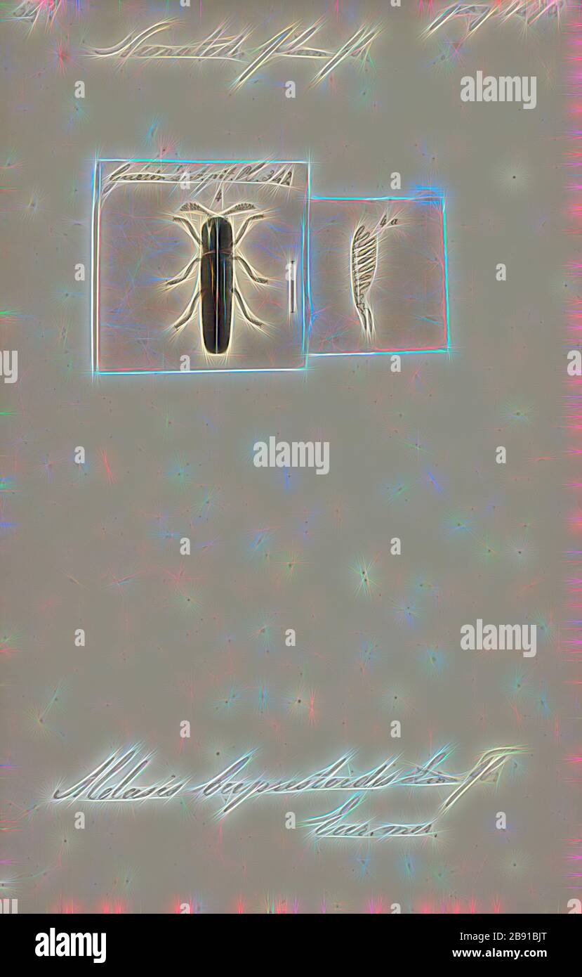 Les vers ronds constituent Banque de photographies et d’images à haute ...