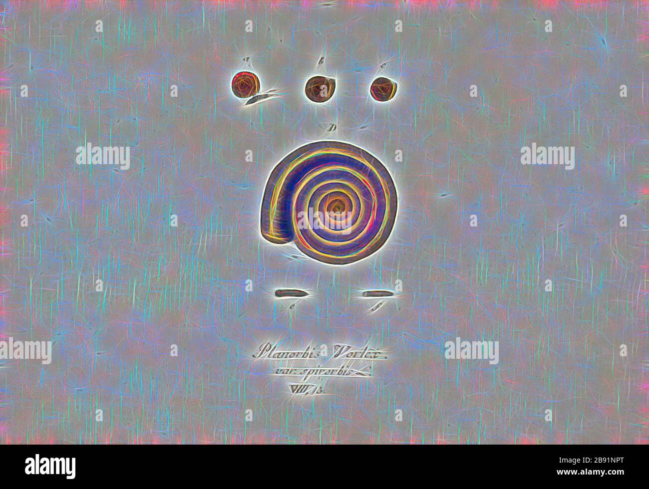 Planorbis vortex Banque de photographies et d’images à haute résolution ...
