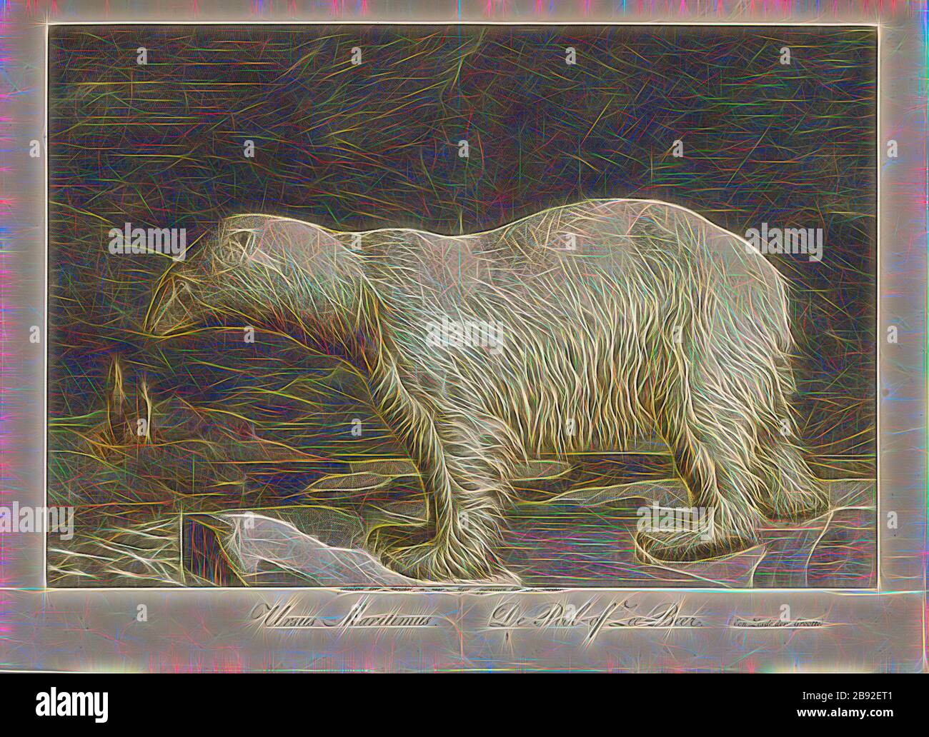 Plus grands carnivores terrestres Banque de photographies et d’images à ...