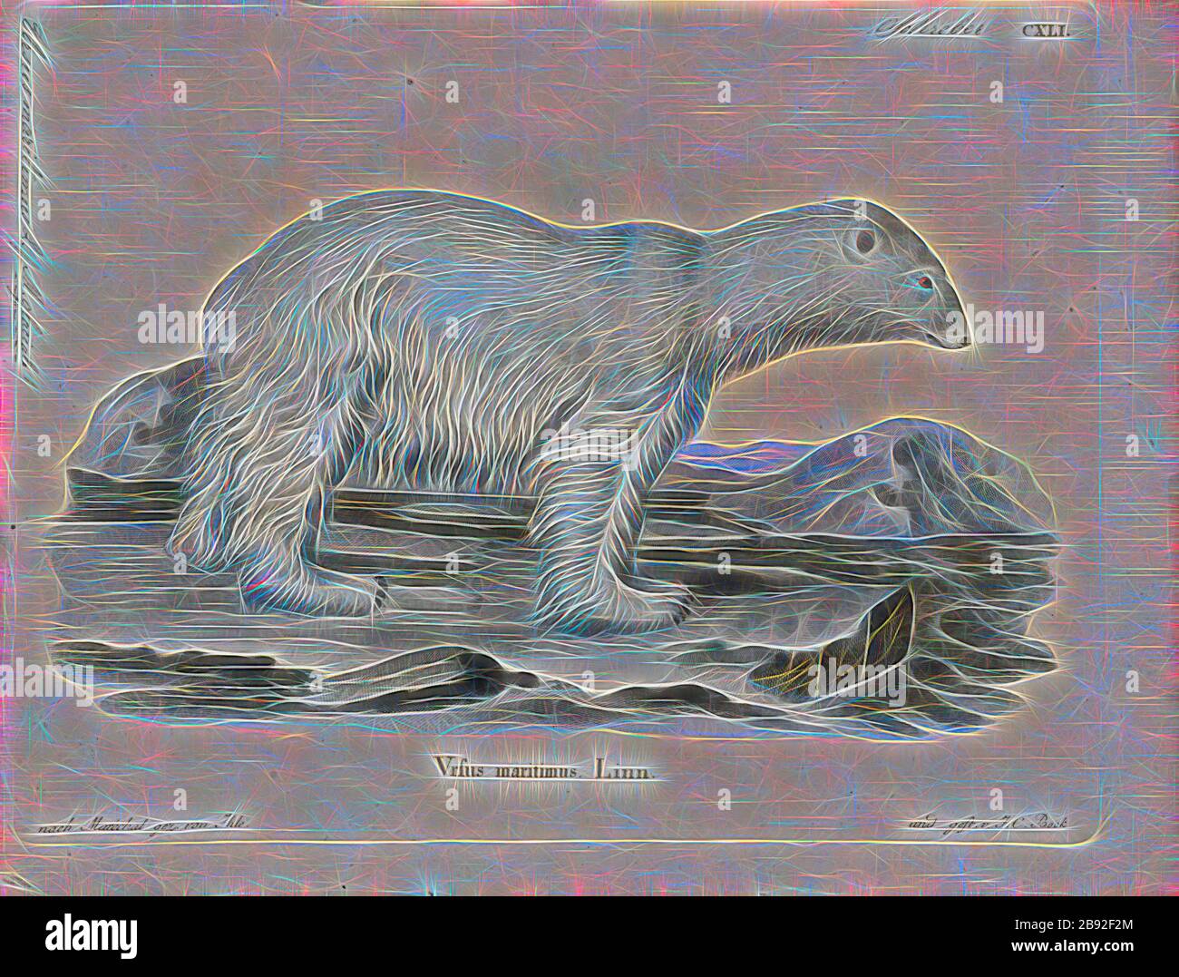 Plus grands carnivores terrestres Banque de photographies et d’images à ...