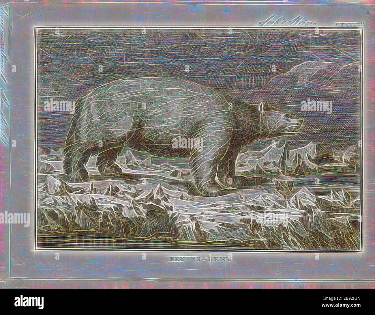 Plus grands carnivores terrestres Banque de photographies et d’images à ...