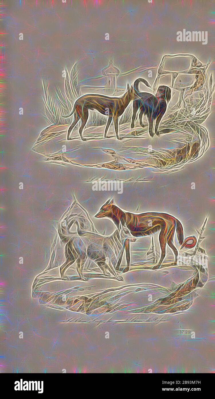 Loup sc Banque de photographies et d’images à haute résolution - Alamy