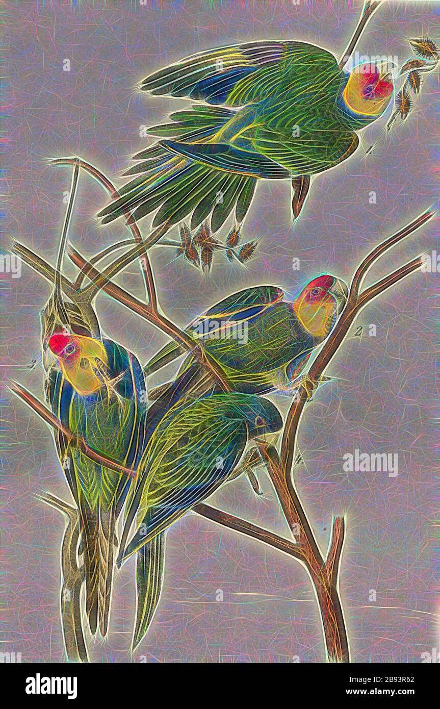 Centurus carolinensis Banque de photographies et d’images à haute ...