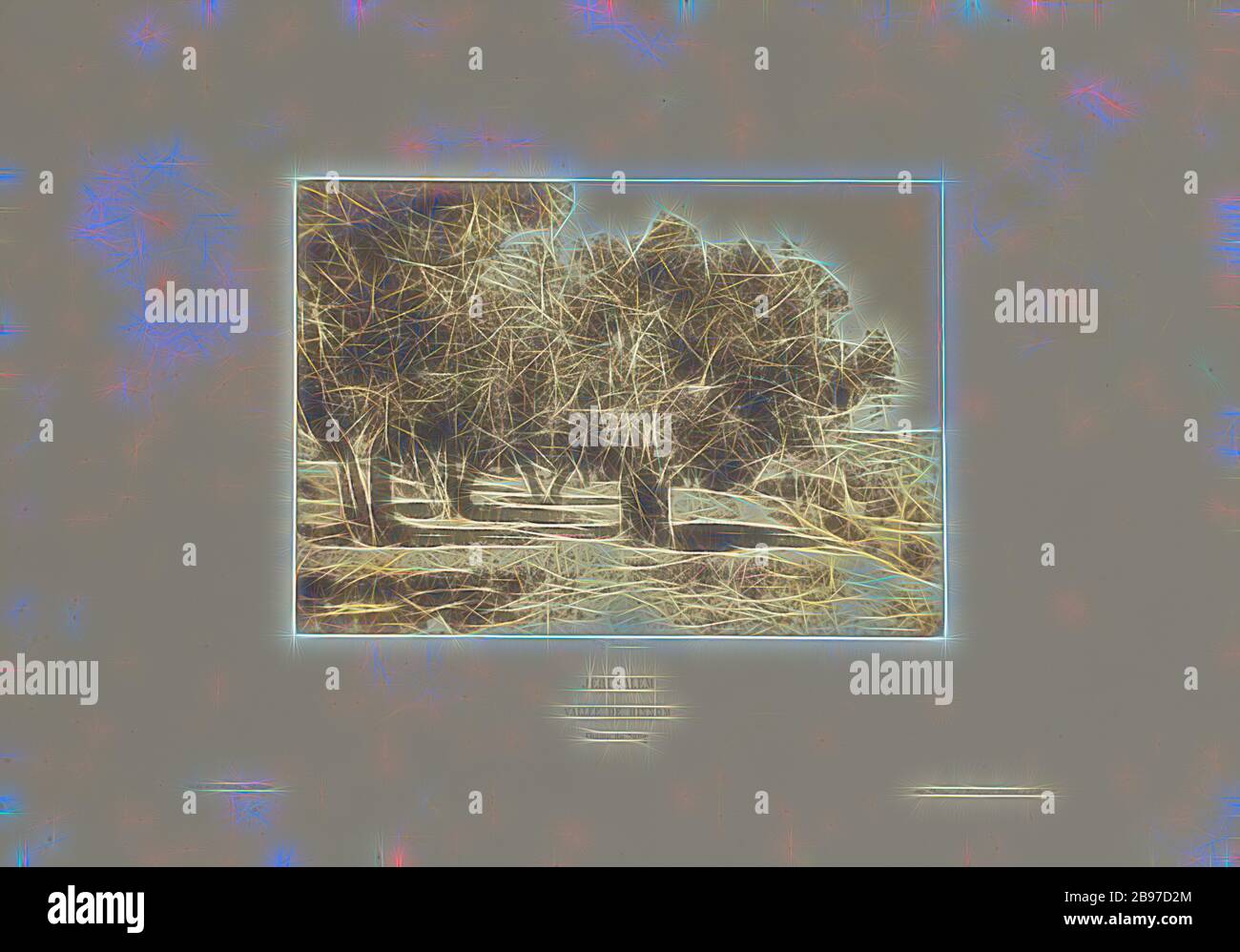 Champion du sang Banque de photographies et d’images à haute résolution ...