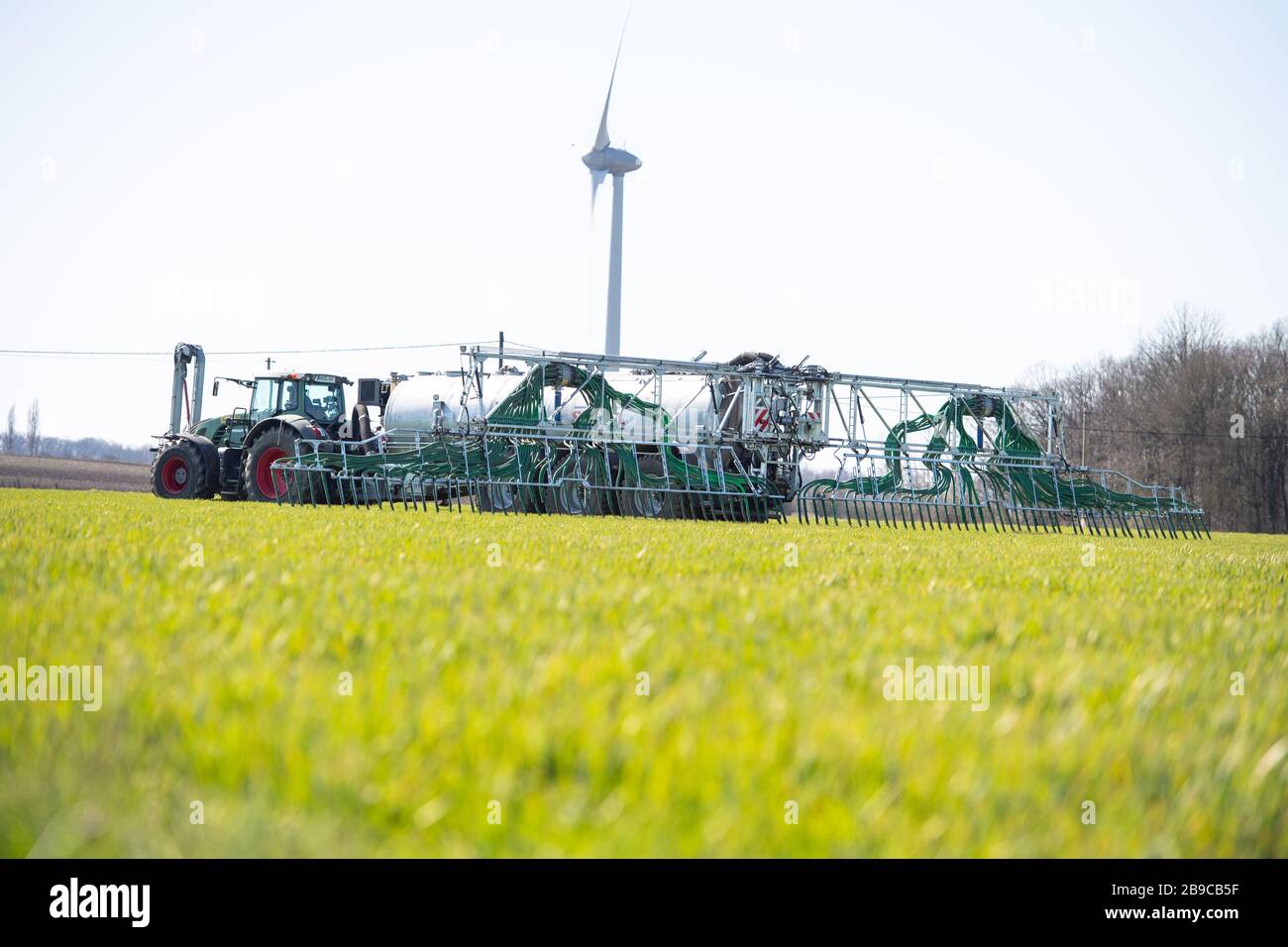 Un agriculteur cultive un champ avec fumier, caractéristique, général ...