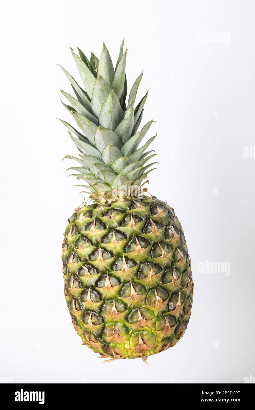 Uno disegni Banque de photographies et d’images à haute résolution - Alamy