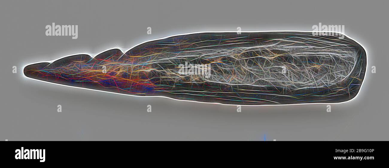 Jambes pointues de deux barbes, harpon pointé sol trouvé jambe, scié ...