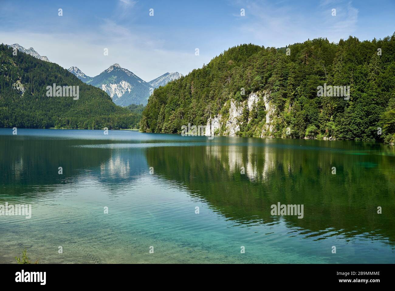 Neuschwanstein castle and lake alpsee Banque de photographies et d ...