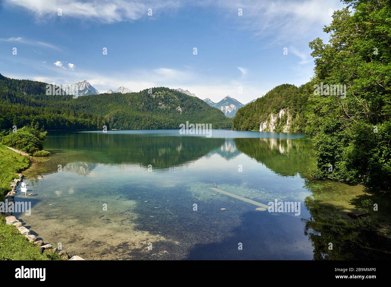 Neuschwanstein castle and lake alpsee Banque de photographies et d ...