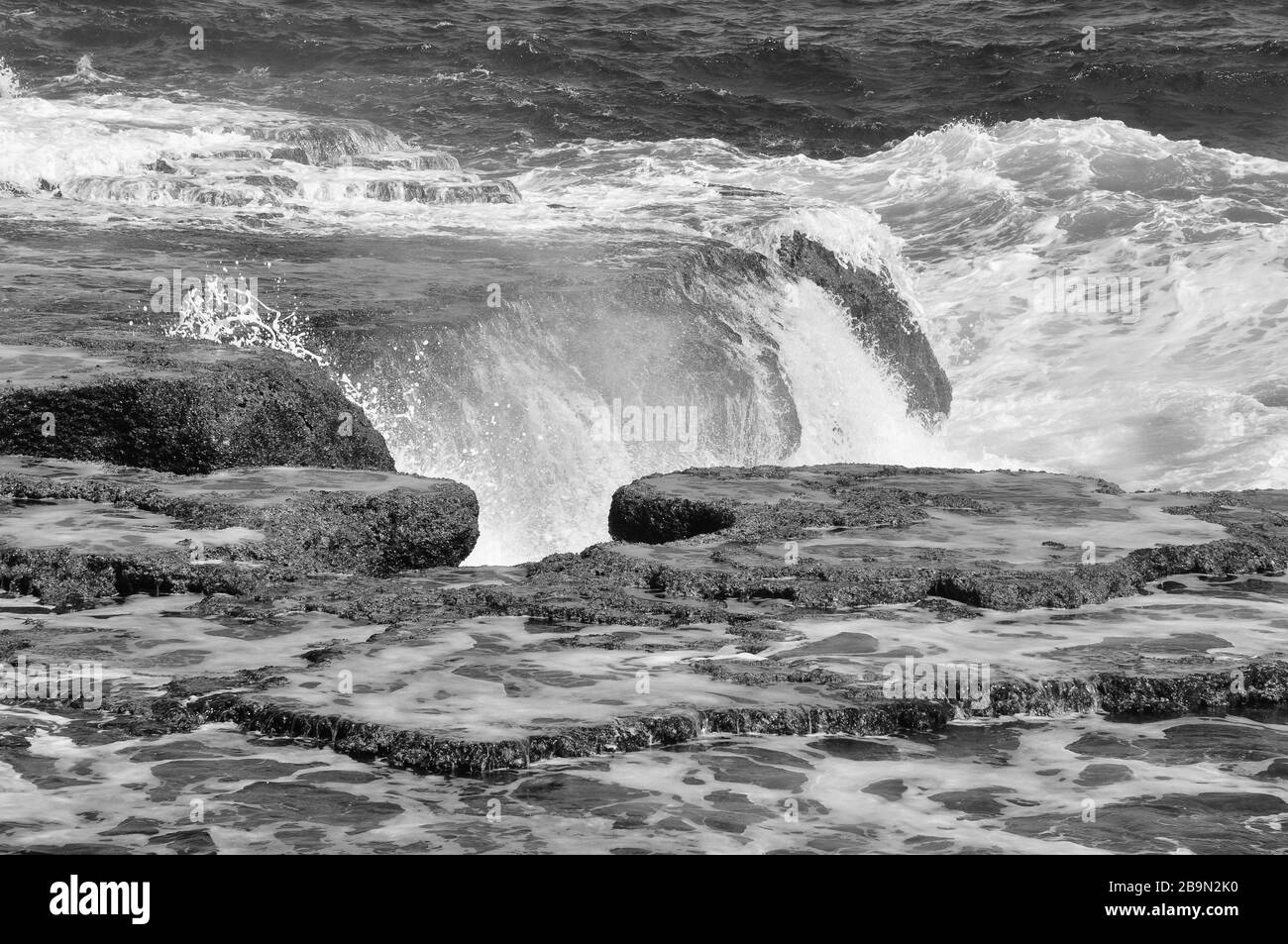 Un vaea blowholes Banque de photographies et d’images à haute ...